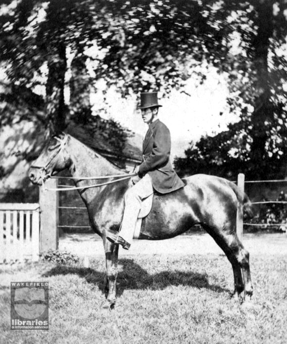 Twixt Aire and Calder - Image Detail